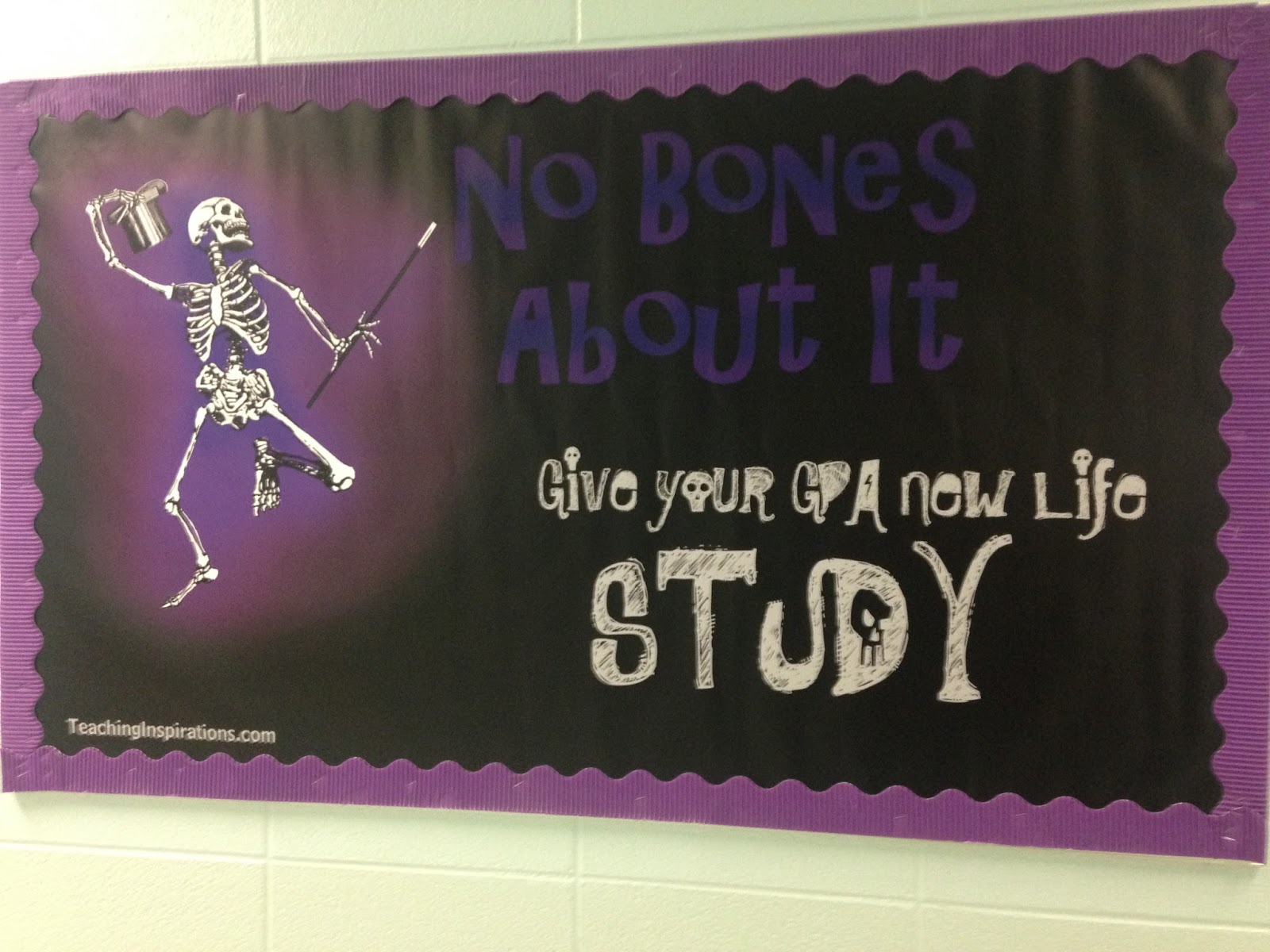 No Bones About It-Banners Work Great as Bulletin Boards