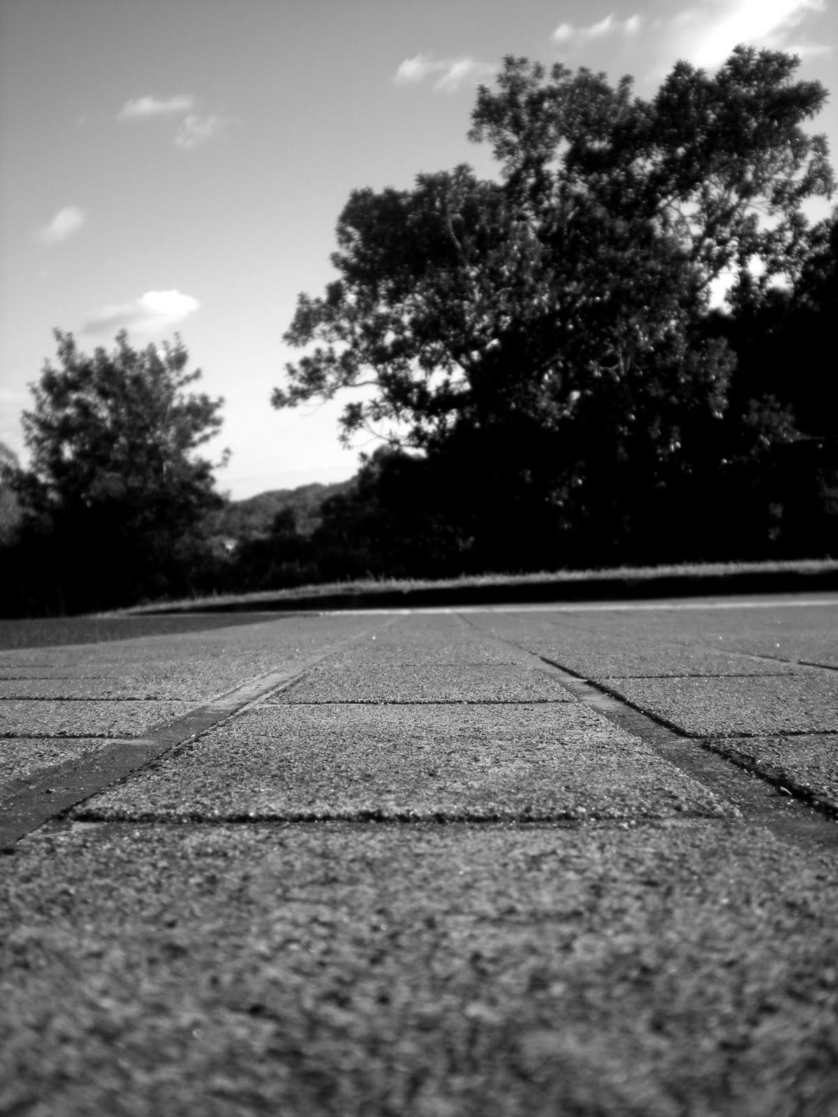 Photography: Photo Project: Linear Lines