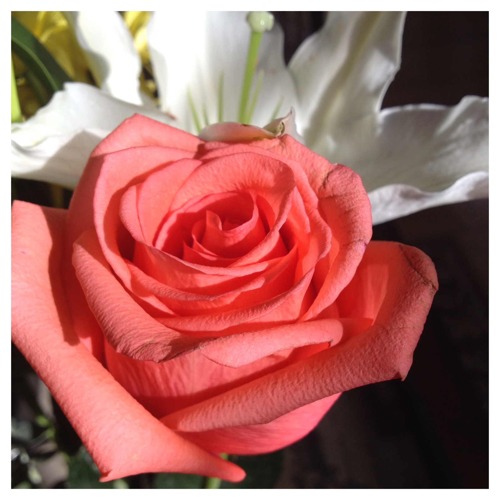 #Day 7 - Flowers from my Love ♥