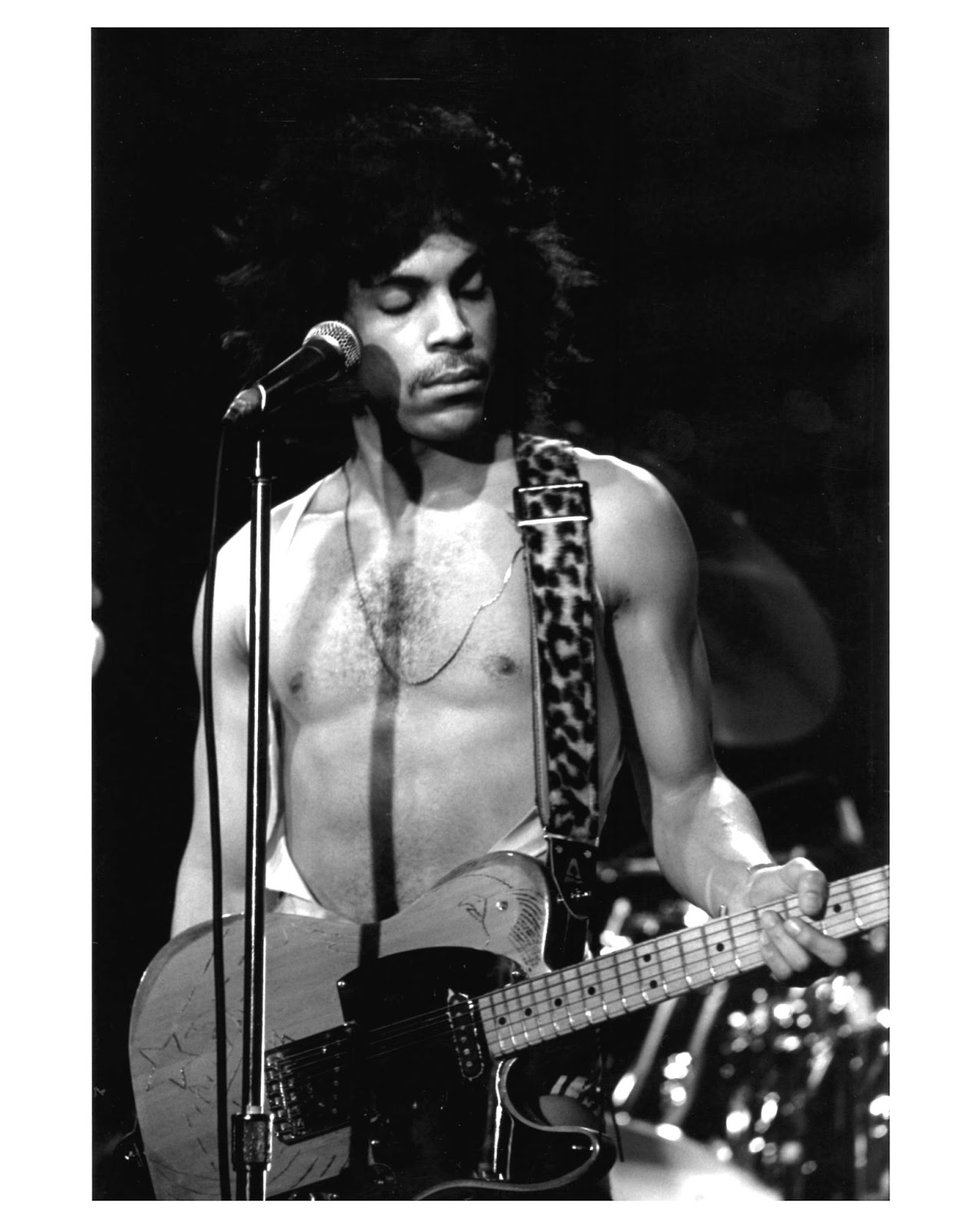 Lansure's Music Paraphernalia: PRINCE | Related Artists