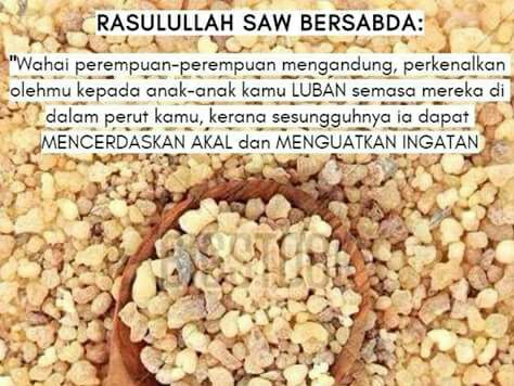 Khasiat atau manfaat Luban yang perlu kita tahu ~ Luban Libanah ...