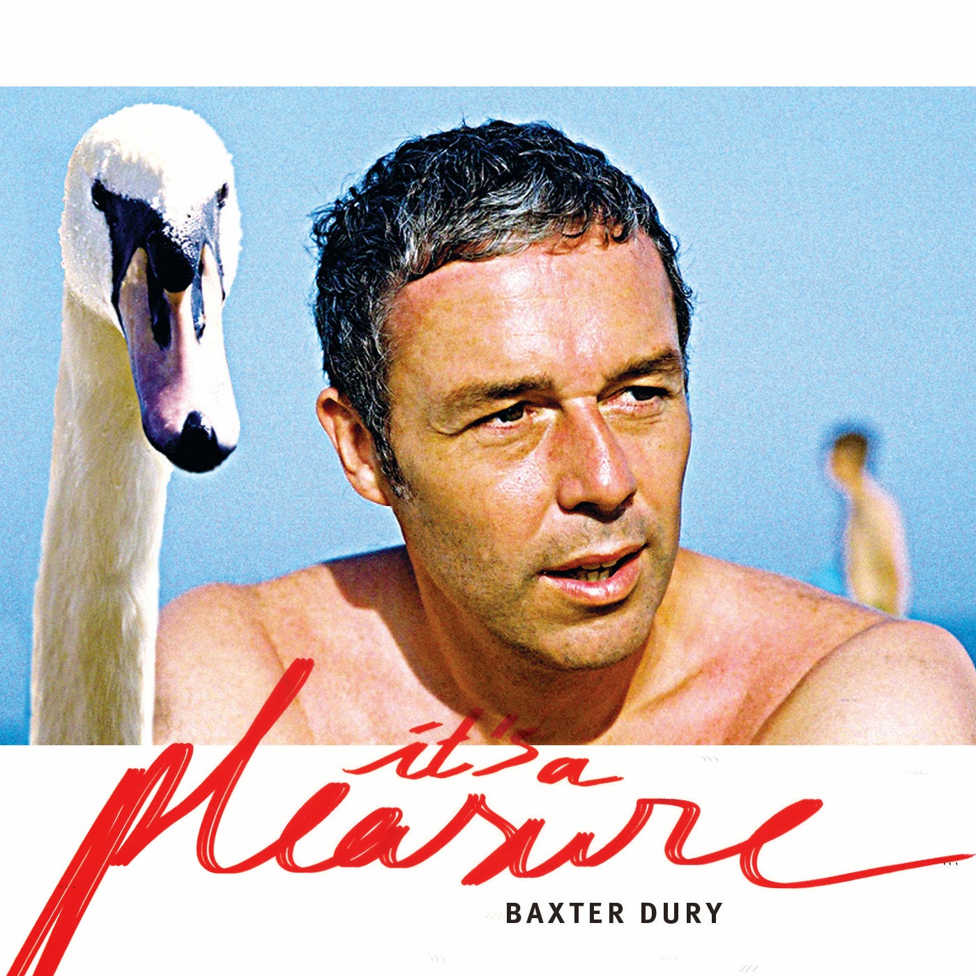 CARMADOU Baxter Dury It s Pleasure
