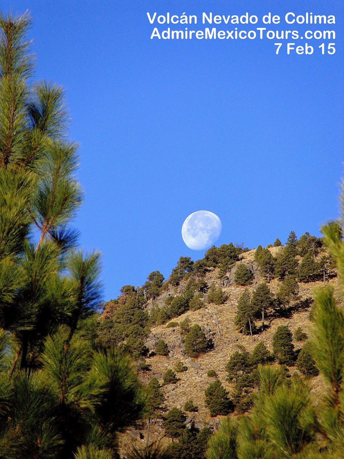Colima Volcano Tours & More!: Nevado de Colima Volcano Hike