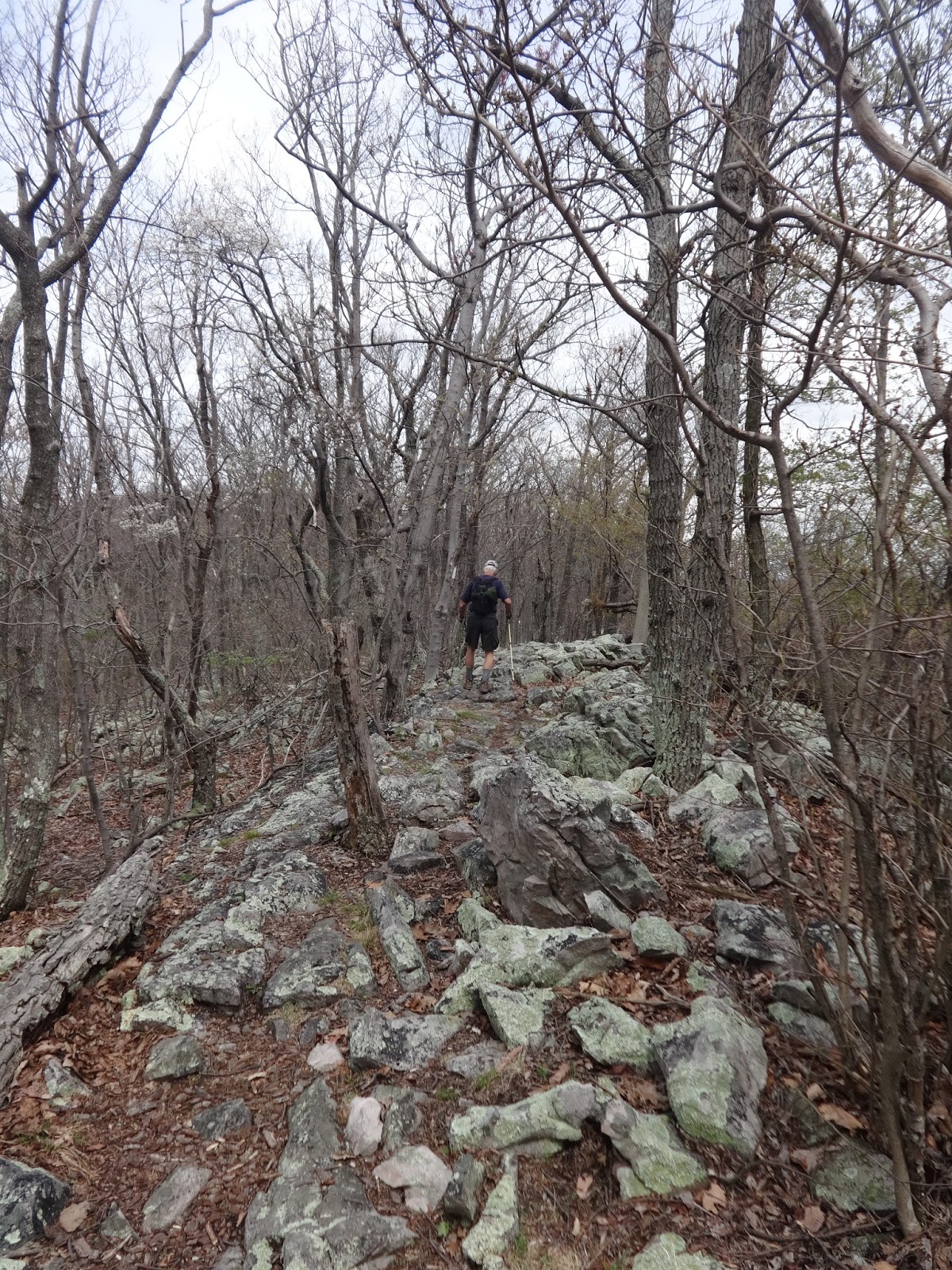 Appalachian Trail Section hiking: Snickers Gap to Harper's Ferry, Virginia