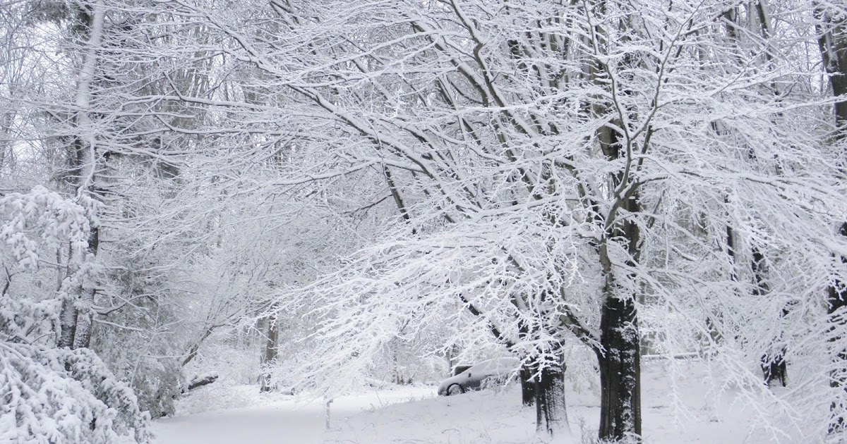 The First Snowfall of 2017