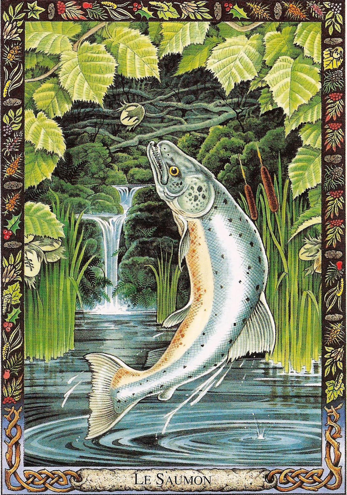 Land of the Fae: Shannon Pot and the hunt for the Salmon of Knowledge