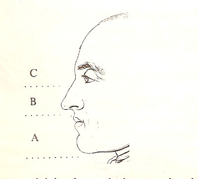 Grafología y autoconocimiento: Morfopsicología y Rostro - Parte V