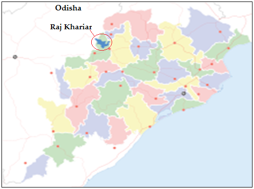 Raj Khariar