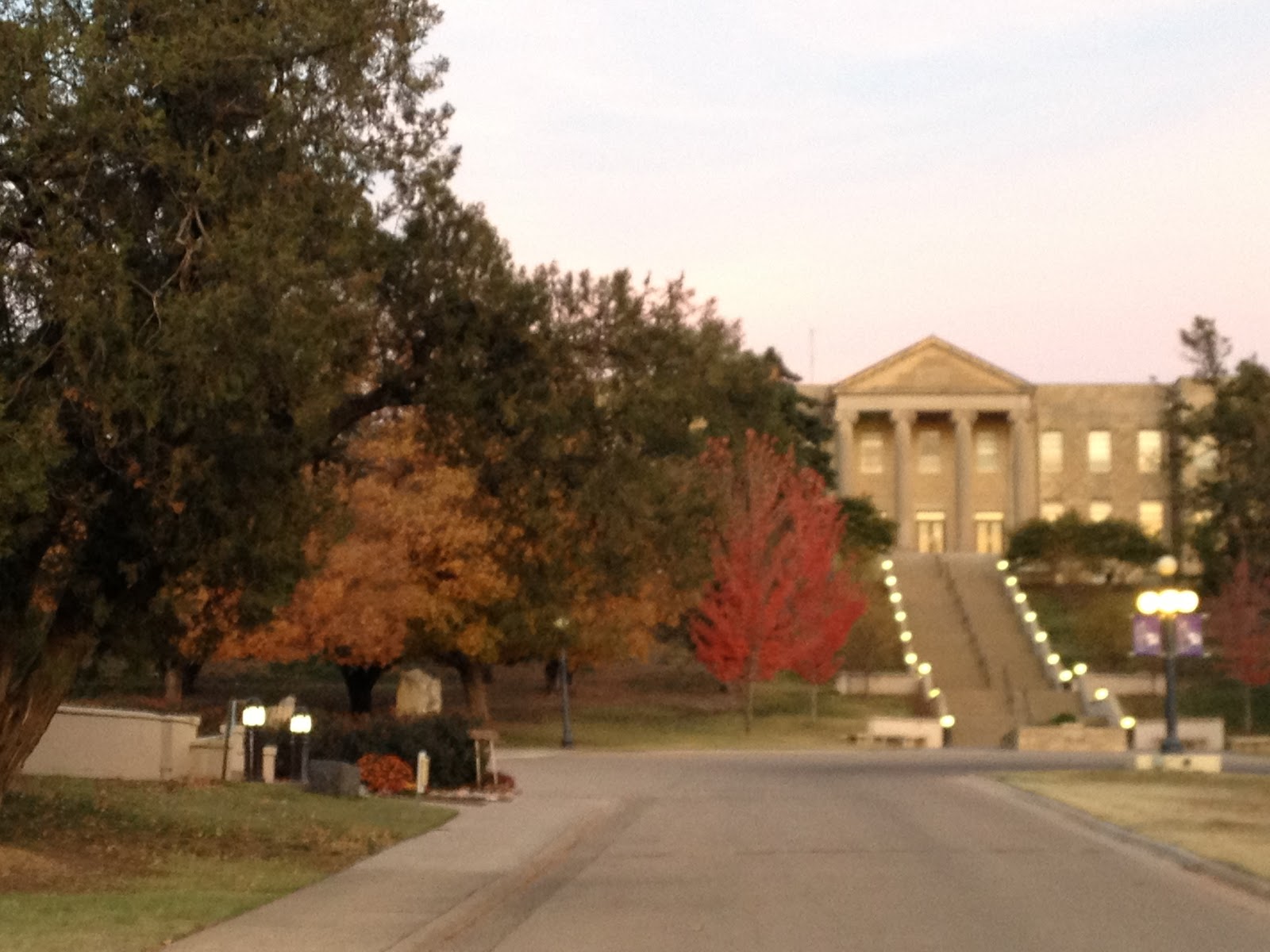 Through Audra's Eyes