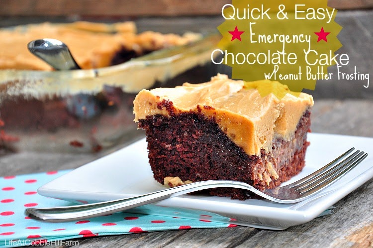 Quick & Easy Emergency Chocolate Cake with Peanut Butter Frosting ...