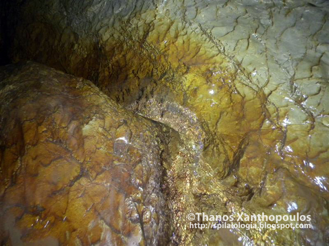 ΣΠΗΛΑΙΟΛΟΓΙΑ - SPELEOLOGY IN GREECE : ΚΑΤΑΒΟΘΡΑ ΦΤΕΡΟΛΑΚΑ - ΠΑΡΝΑΣΣΟΣ ...