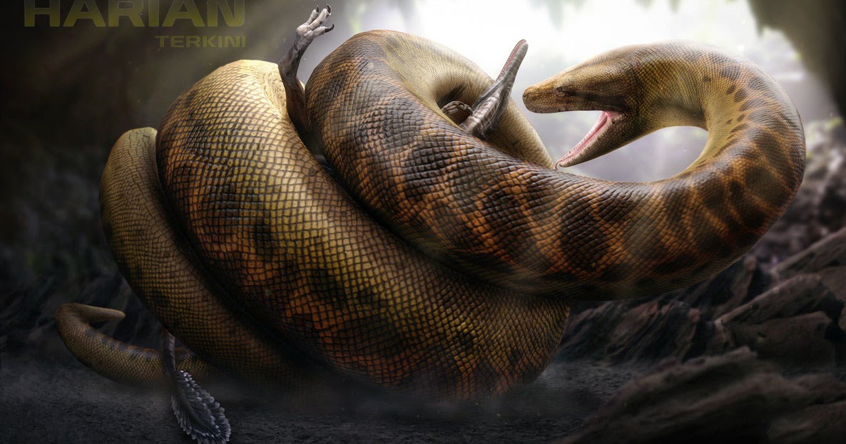 FAKTA ULAR TITANOBOA YANG BUAT KAMU LEMAS MENDENGARNYA - HARIAN TERKINI