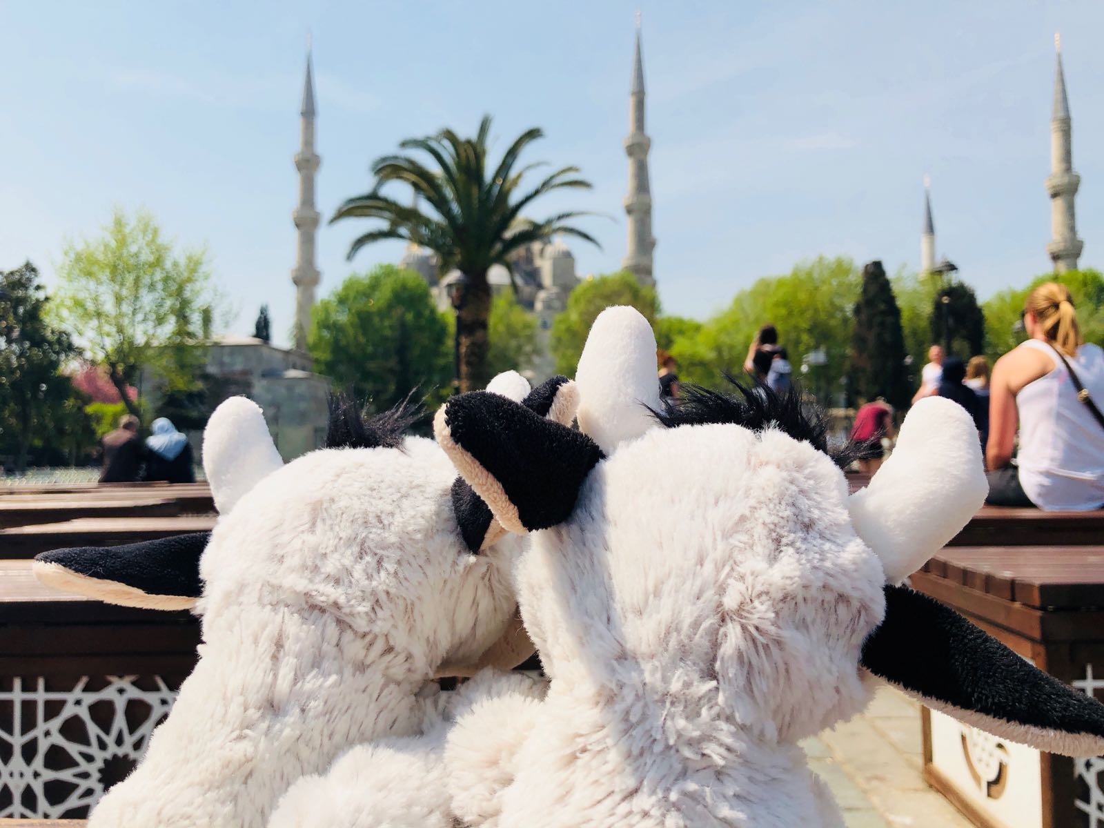 Escuela de Matemagos: ¡Volvemos!