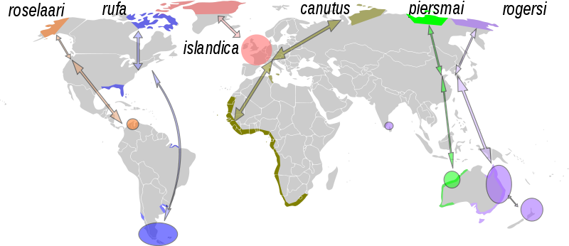 Biking for Birds: Feb 15 (Day 46) - Wind and more wind, the incredible ...