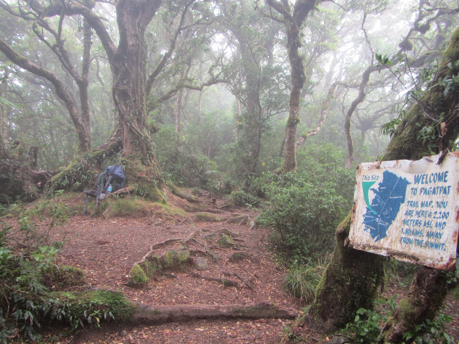 LEXICAL CROWN: MOUNT KANLAON CLIMB (GUINTUBDAN-GUINTUBDAN TRAIL)