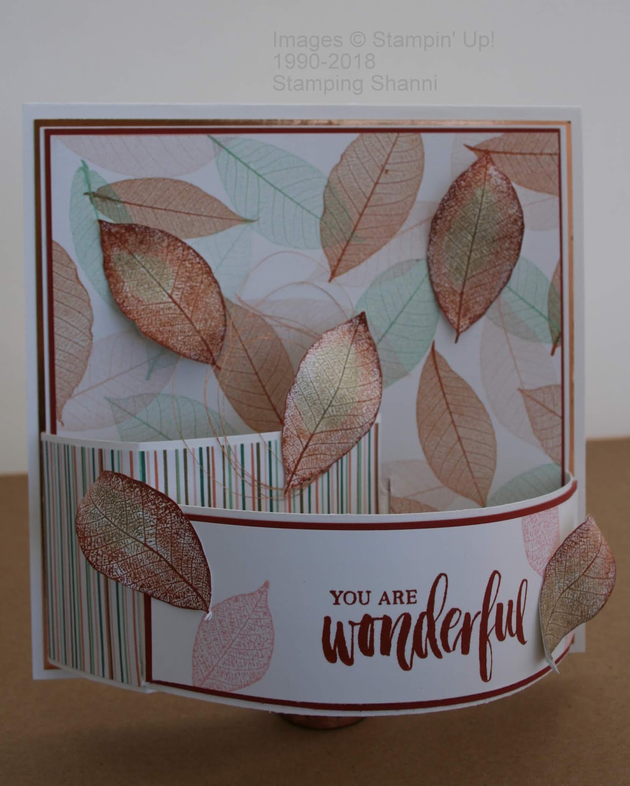 Stamping Shanni: Fancy Folds - Bend Fold Cards
