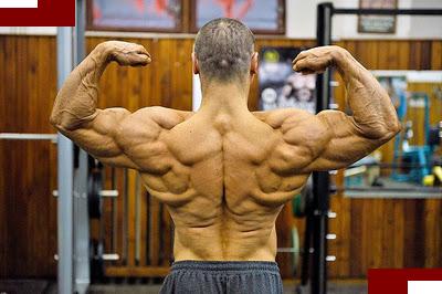 world bodybuilders pictures: Slovak bodybuilder Marian cambal