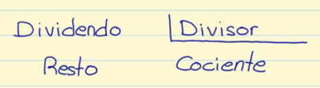 Divisiones con y sin punto décimal