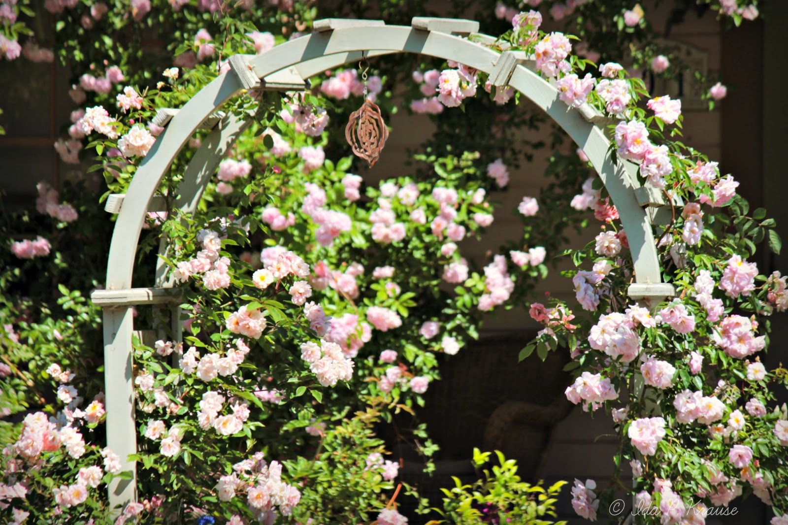 Wishes, Dreams & Other Things: Good Fences #113 - A Romantic Fence