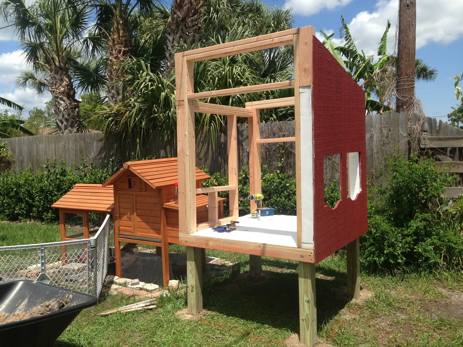 Vegetable Gardening in SW Florida: The Chickens Are Now On The Farm!