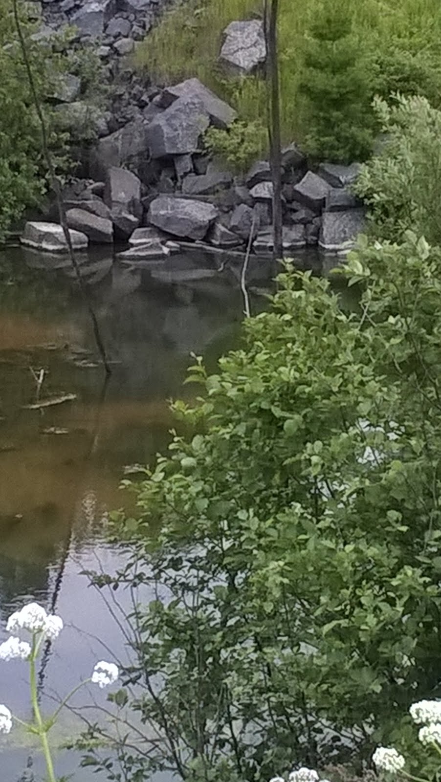 Lake Superior Rift Change: The Keweenawan Rift Seismic Activity: Fwd ...