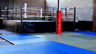 Iron rings - Karate Rings - Karate Choices