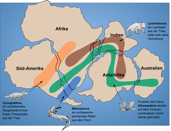 Pura Evolução: Biogeografia