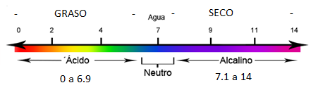 IMAGEN PERSONAL - SALUD INTEGRAL : ESTRUCTURA CAPILAR, FORMA Y ADECUACIÓN