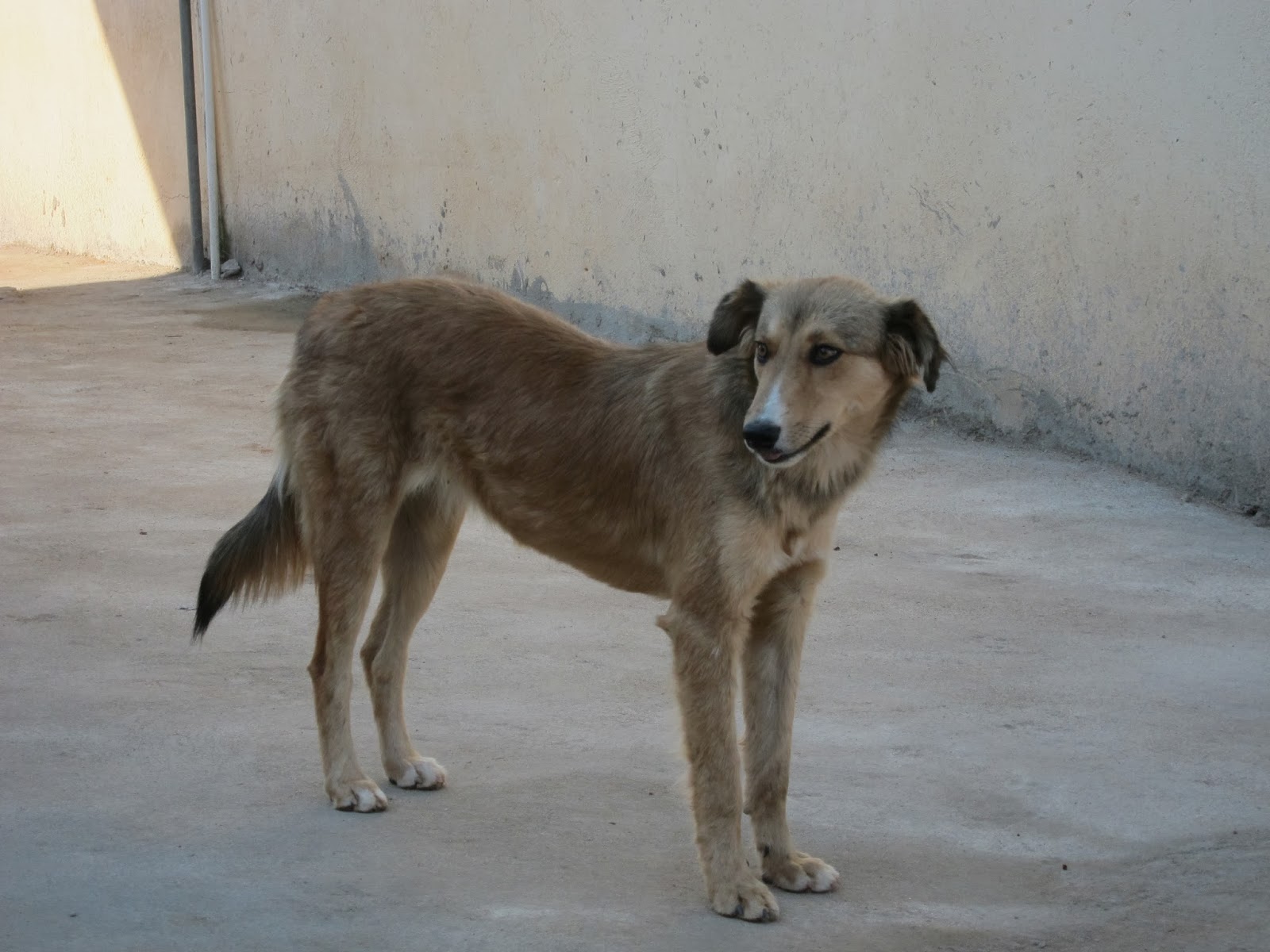 Manch-Tswana: October 2013