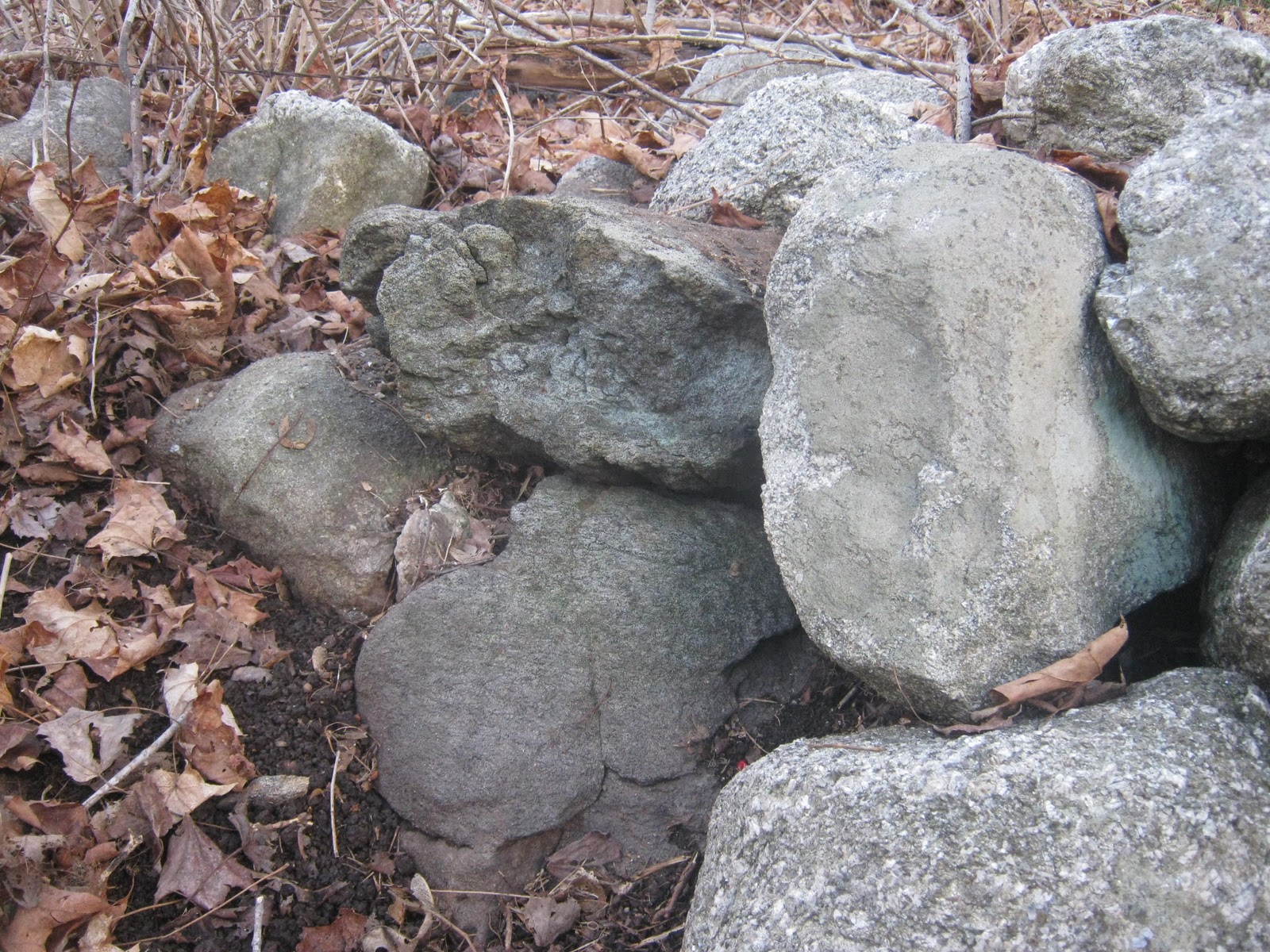 Waking Up on Turtle Island: Detail in "A Wall of No Great Importance"