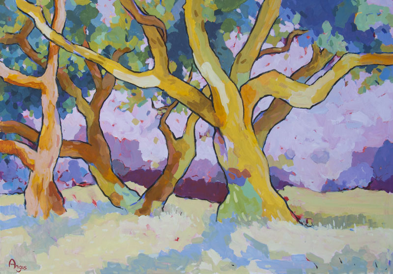 Angus Wilson Studio: 2016