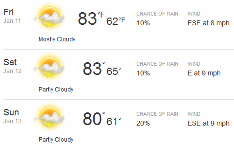 Becoming An Ironman: Disney, Here I Come!