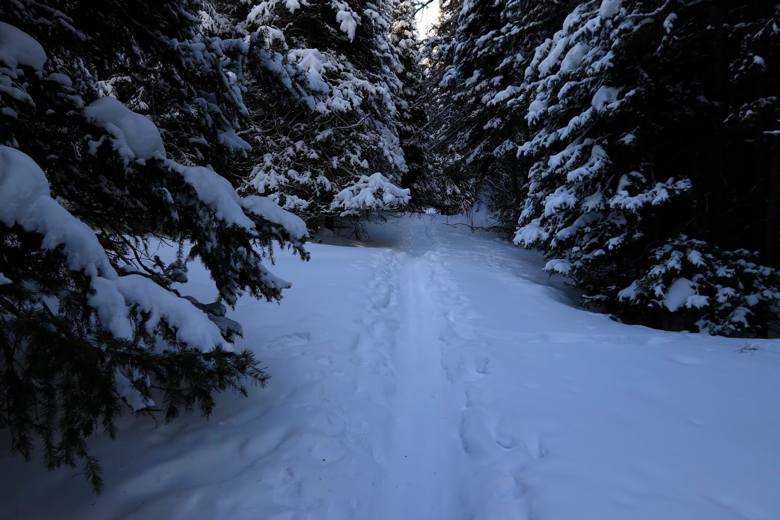 gjhikes.com: Upper Meadow Loop