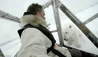 Kameramani ballë për ballë me ariun polar (Foto)