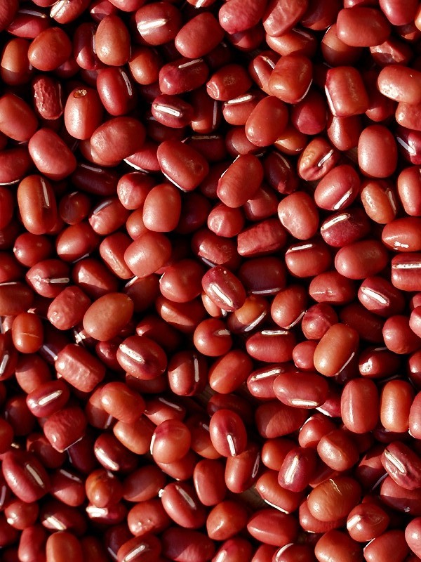 Beneficios del Chi Xiao Dou (poroto aduki) | Belleza y Salud al Día