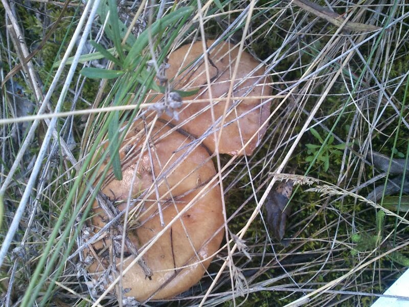 tam, gdzie jest miło i zawsze jest czas aby się zatrzymać