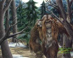 CFZ-USA: FOUR TYPES OF BIGFOOT