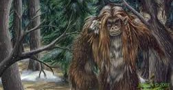 CFZ-USA: FOUR TYPES OF BIGFOOT