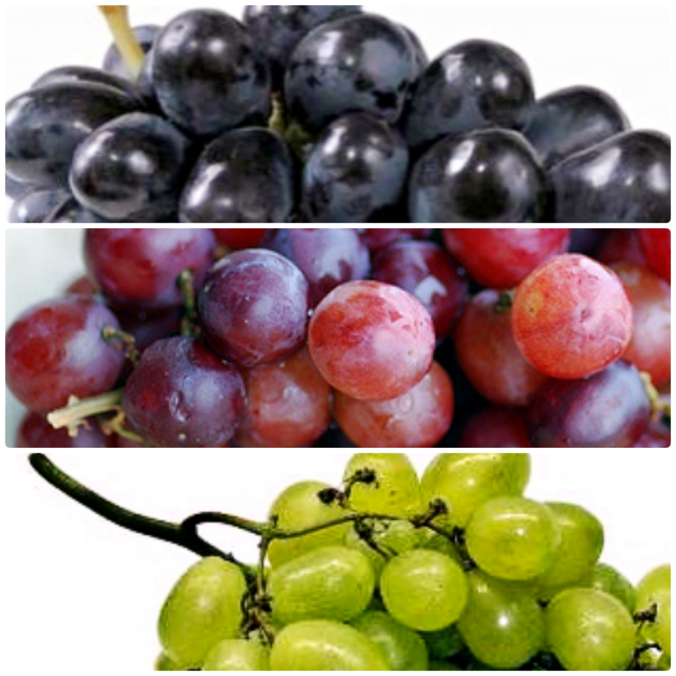 Mengenal Jenis-jenis Buah Anggur dan Manfaatnya ~ Kumpulan Artikel