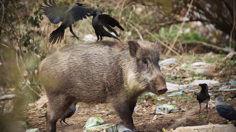 Toucheng Leisure Farm Environmental Education
