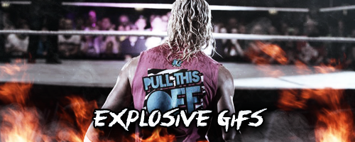 Novembro 2014 ♔ Explosive Wrestling Gifs