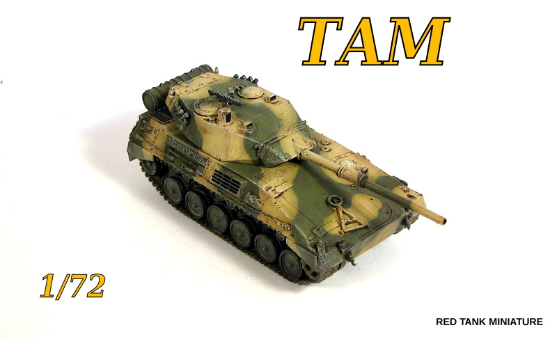 Gulumik Military Models: TAM 1/72