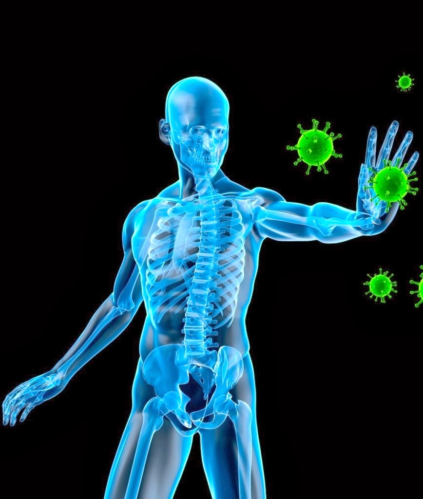 EXPANDIENDO LA CONSCIENCIA: 1O REMEDIOS NATURALES PARA FORTALECER TU ...