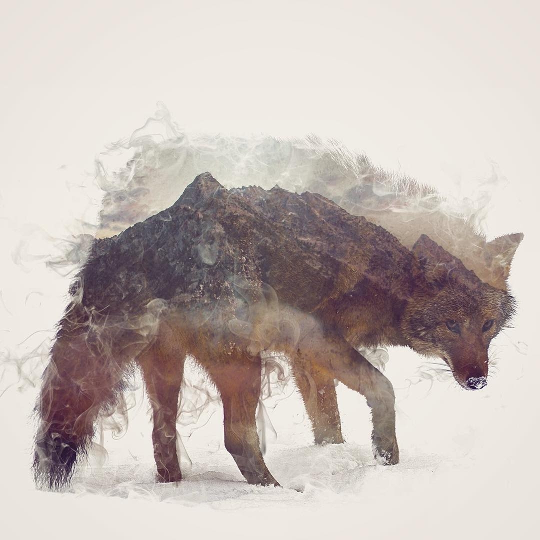 Design Stack: A Blog about Art, Design and Architecture: Ghostly ...