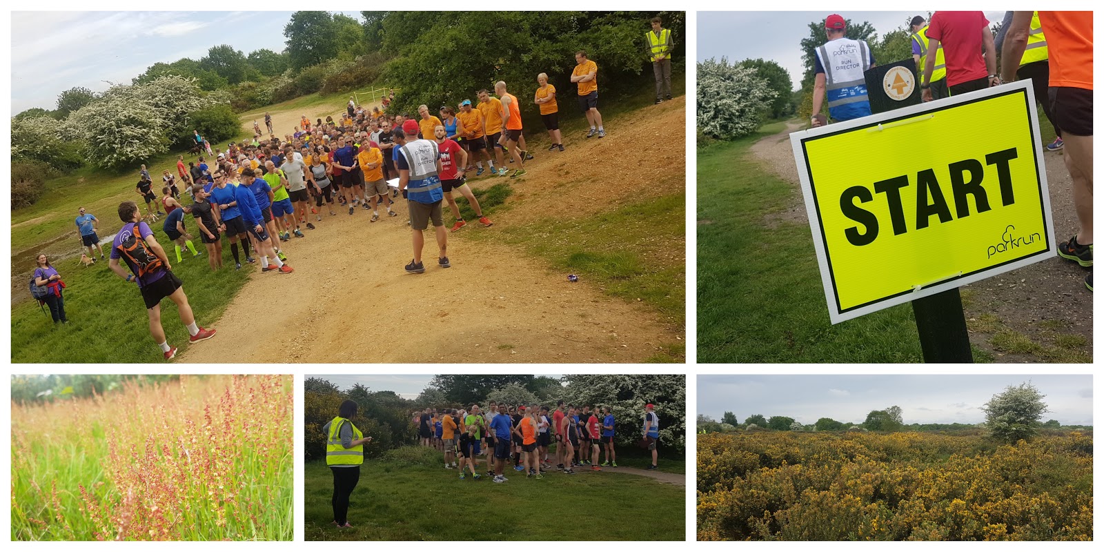 blog7t: Dartford Heath parkrun