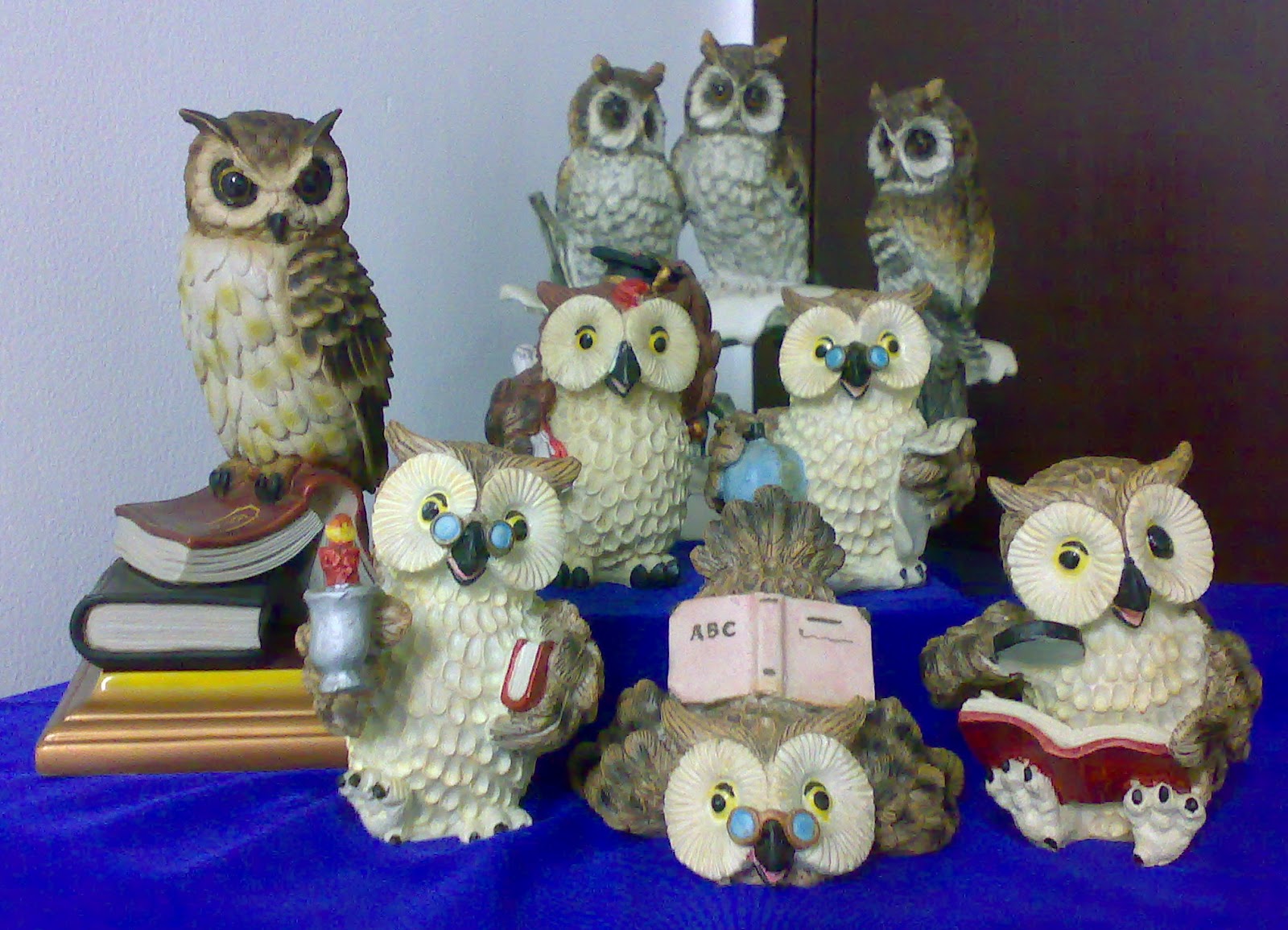 MY PHOTOS: My Owl Collections