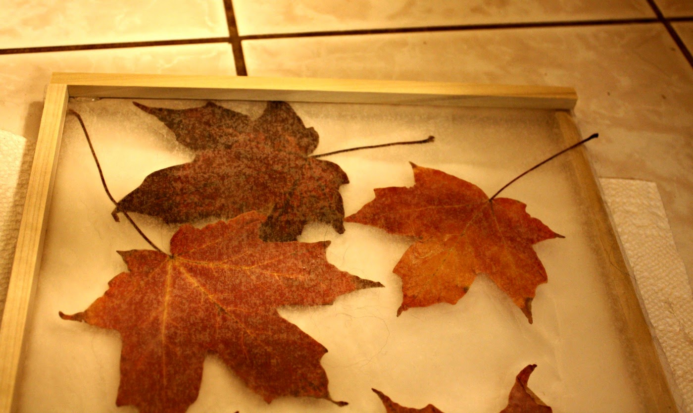 A Little Time and a Keyboard: Fall Leaf Window {Family Craft Time}