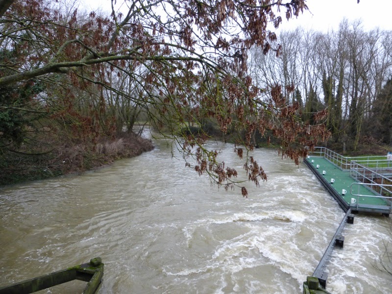 nbTentatrice: To Priory Marina, Bedford