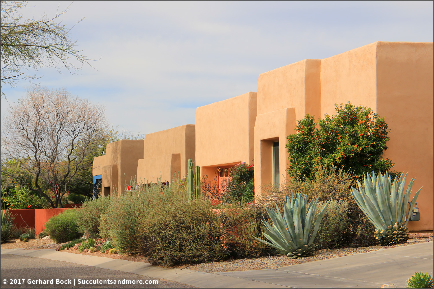 Tucson's Civano community: where I'd love to live