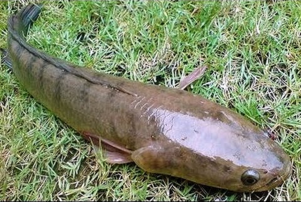 Wicara Mina: April 2019